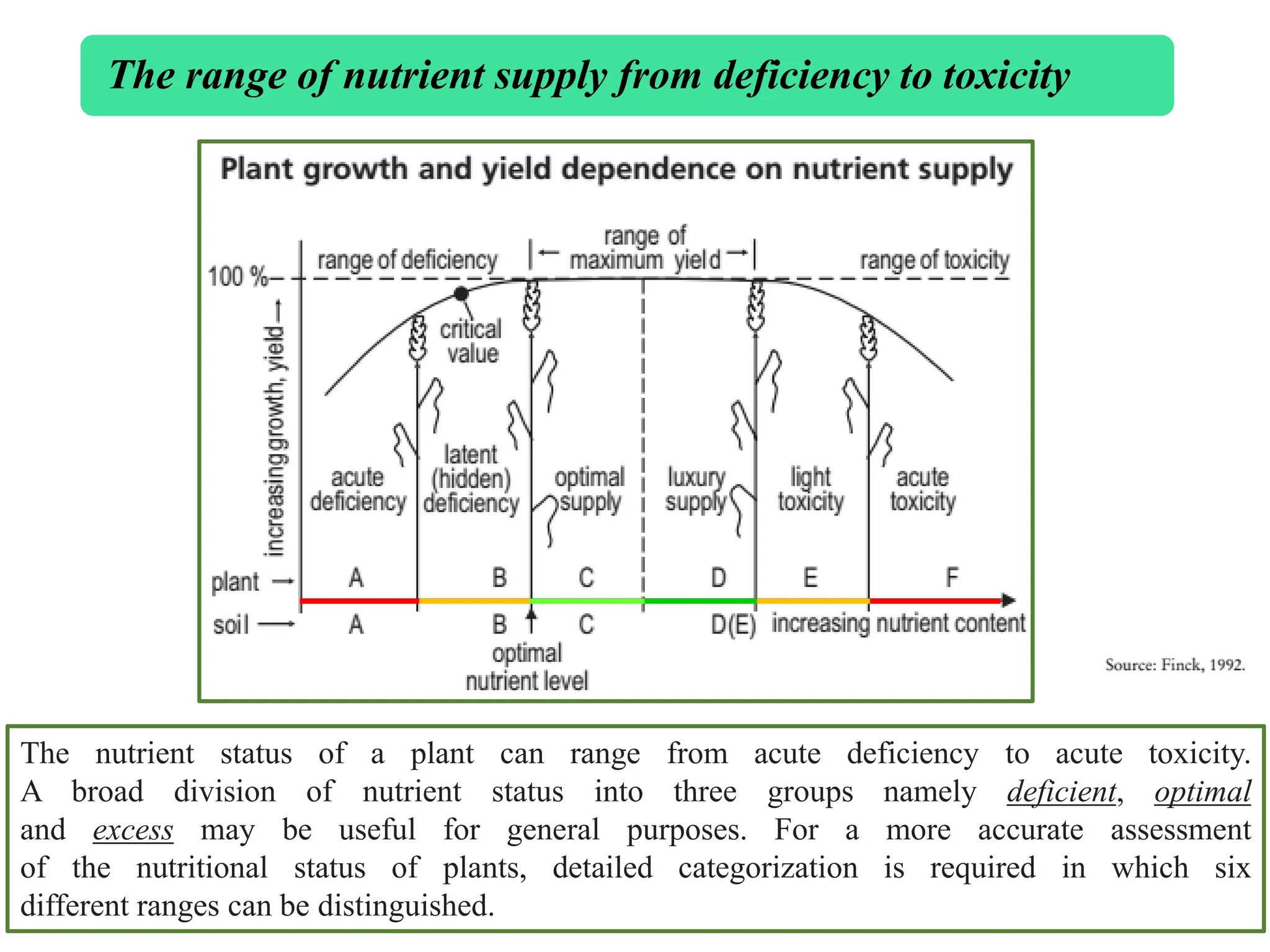 Classification and role of plant nutrients - Roxana Madjar | PDF