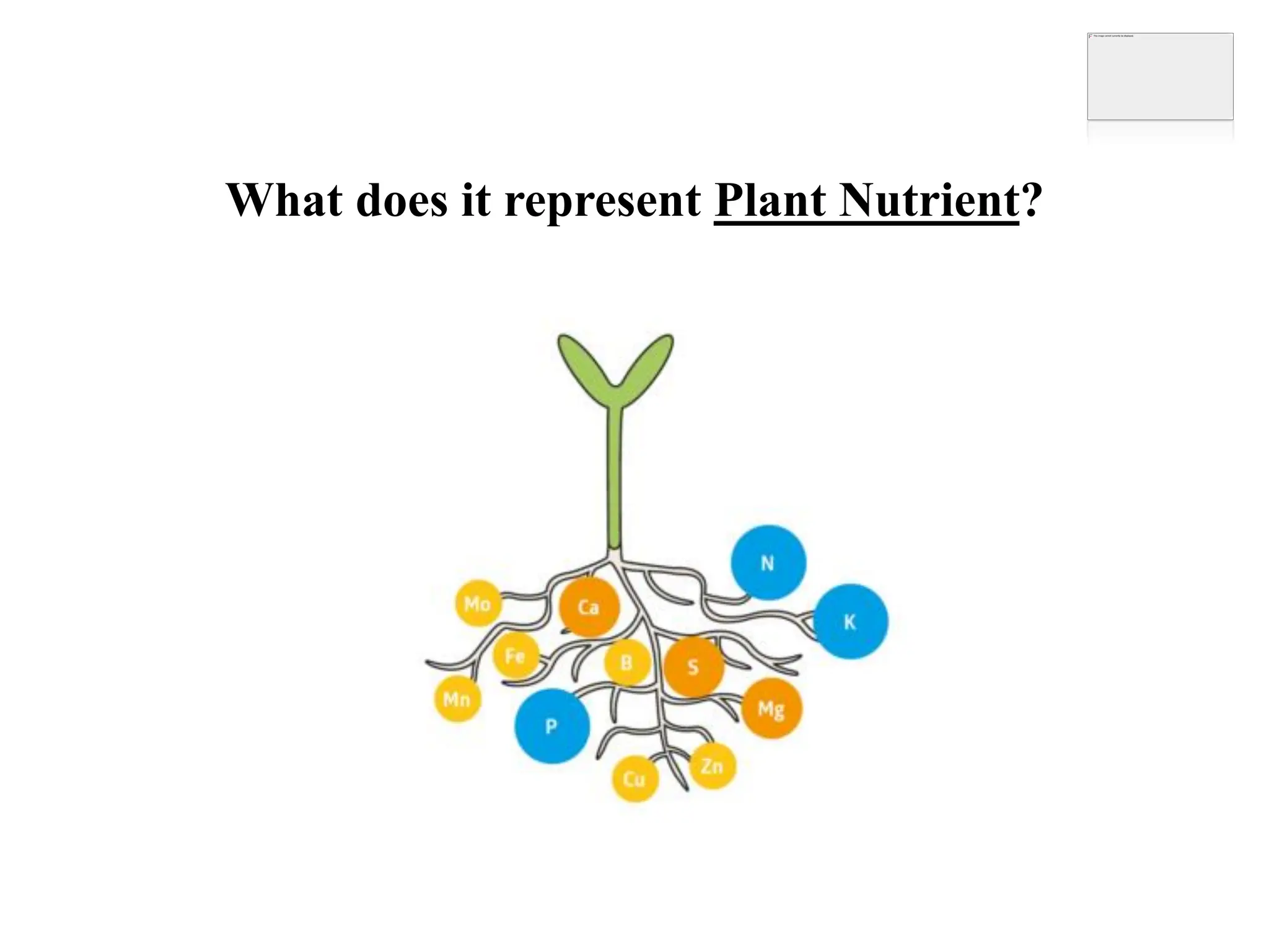 Classification and role of plant nutrients - Roxana Madjar | PDF