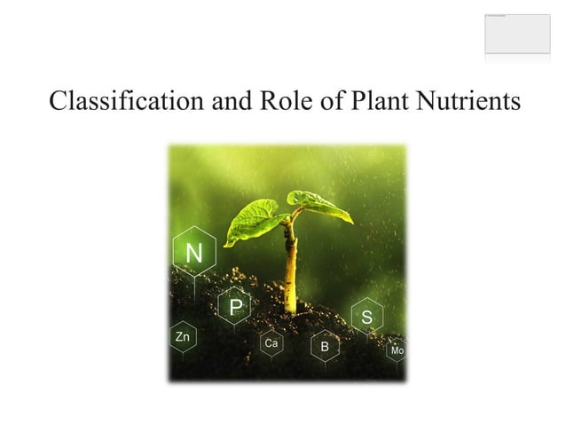 Classification and role of plant nutrients - Roxana Madjar | PDF