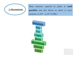 Classification and role of plant nutrients - Roxana Madjar | PDF