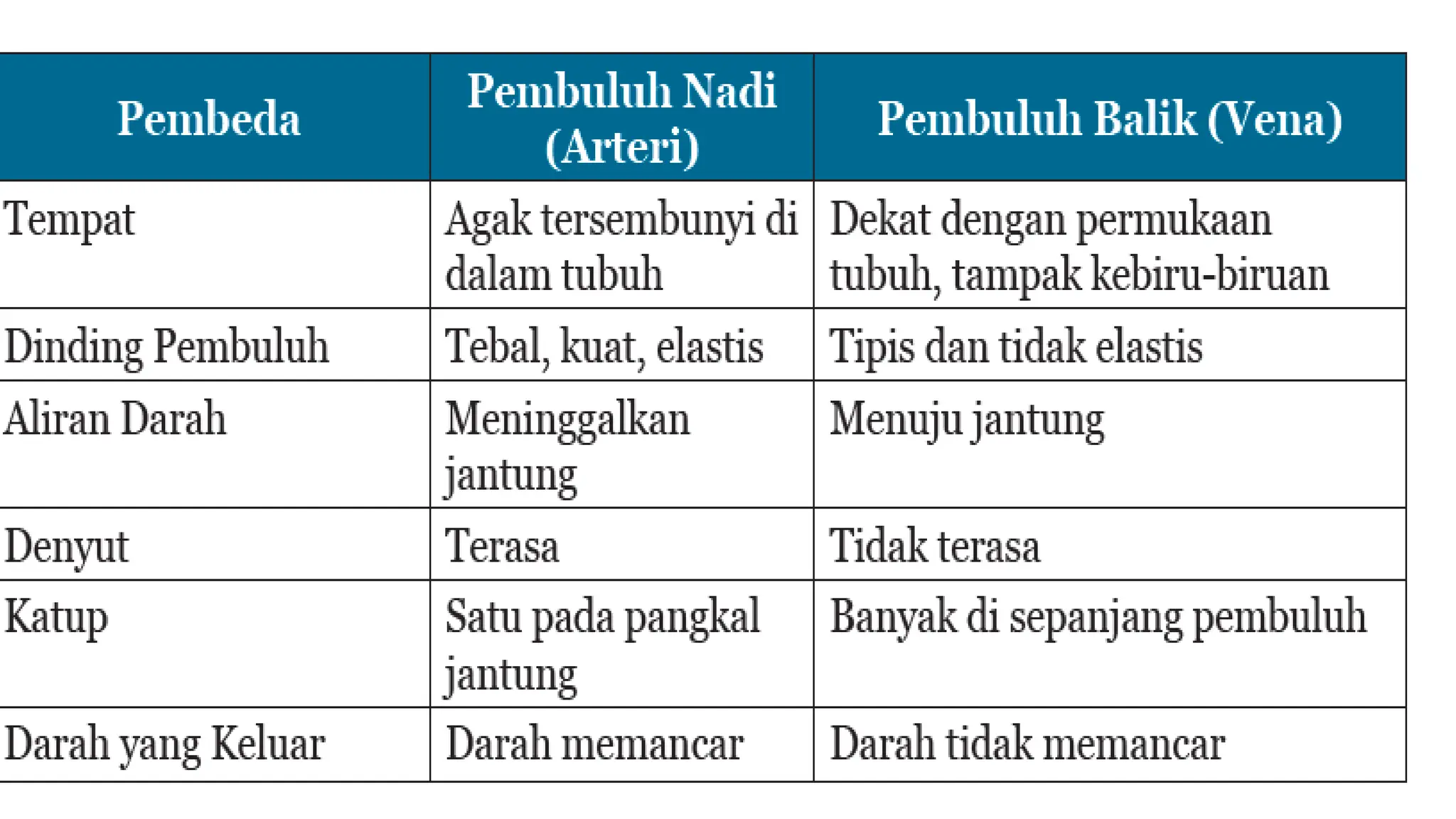 SISTEM PEREDARAN DARAH KELAS 8 KURIKULUM MERDEKA.pptx