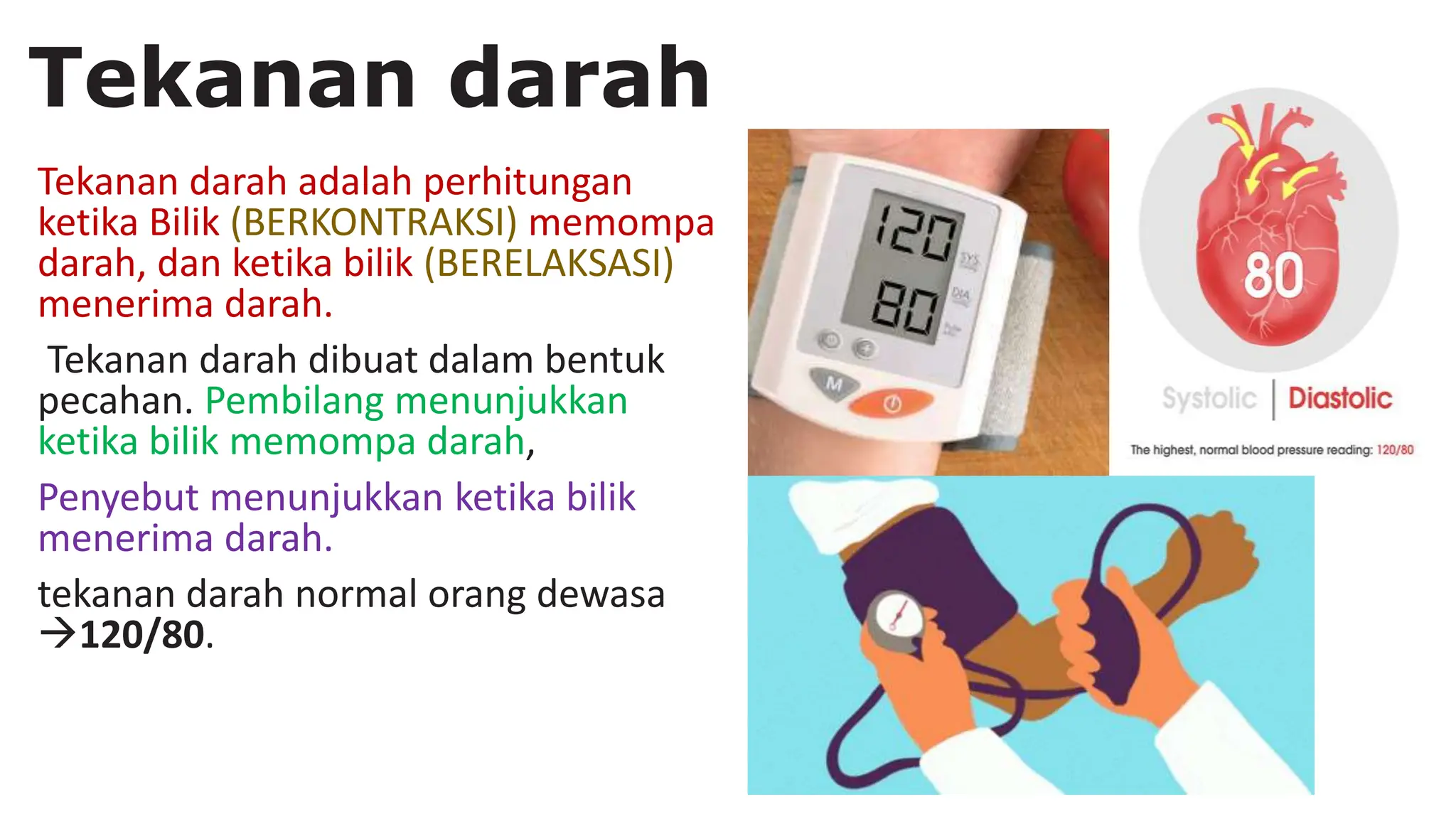 SISTEM PEREDARAN DARAH KELAS 8 KURIKULUM MERDEKA.pptx