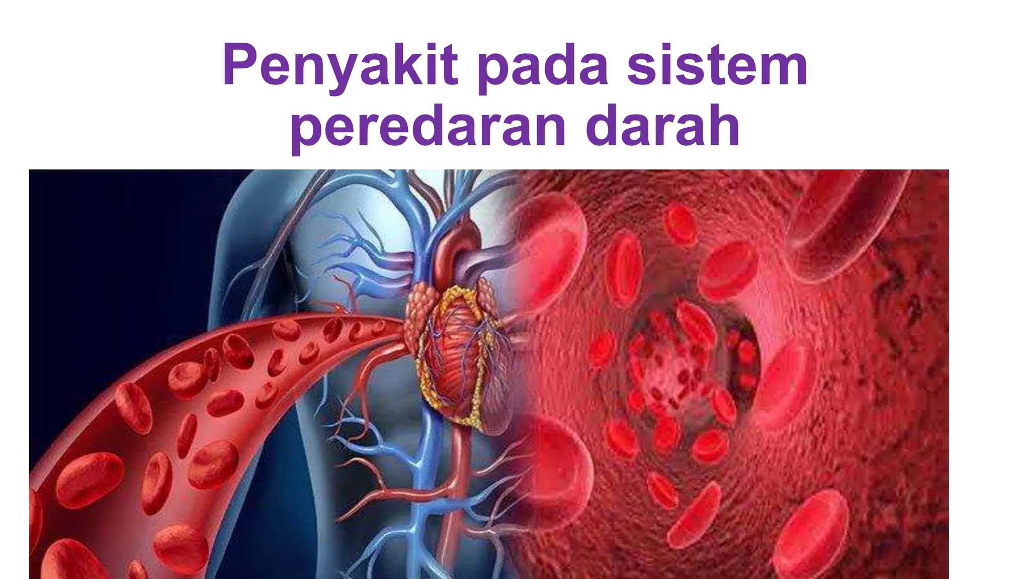 SISTEM PEREDARAN DARAH KELAS 8 KURIKULUM MERDEKA.pptx