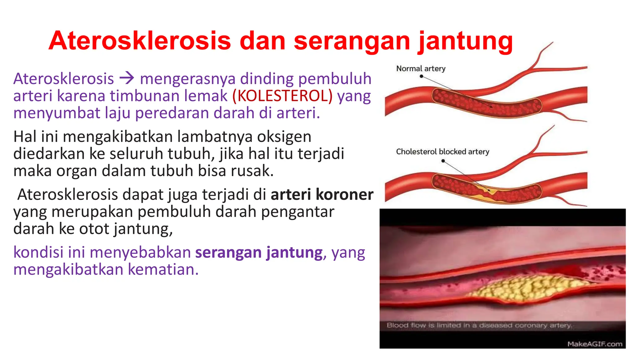 SISTEM PEREDARAN DARAH KELAS 8 KURIKULUM MERDEKA.pptx