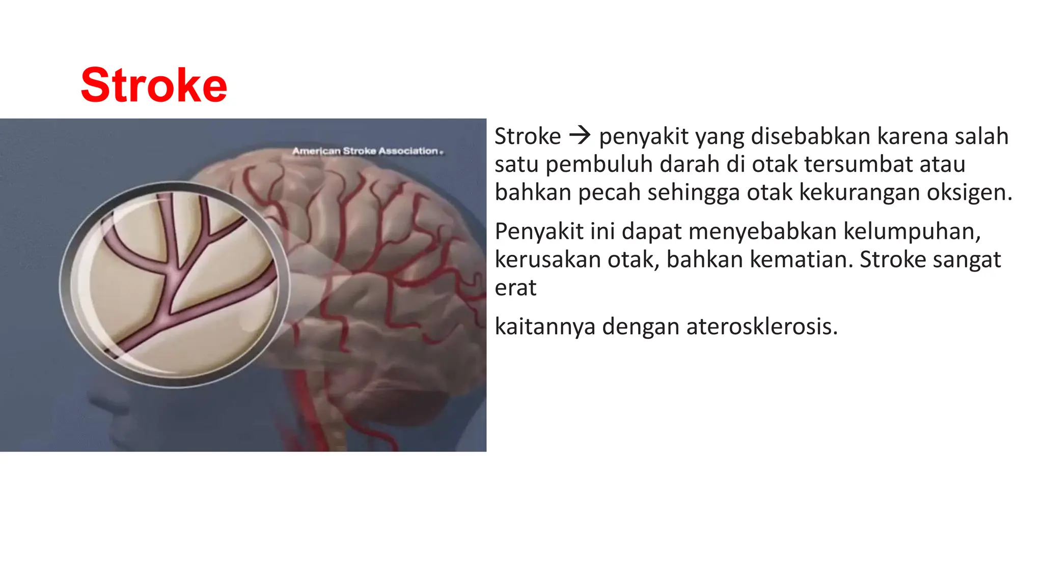 SISTEM PEREDARAN DARAH KELAS 8 KURIKULUM MERDEKA.pptx