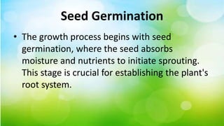2.1 Understanding growth stages from seedling to maturity.pptx ...