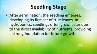 2.1 Understanding growth stages from seedling to maturity.pptx ...