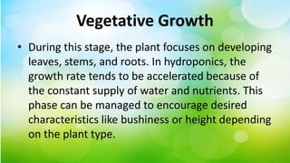 2.1 Understanding growth stages from seedling to maturity.pptx ...