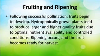 2.1 Understanding growth stages from seedling to maturity.pptx ...