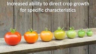 2. Advantages and disadvantages of each medium.pptx