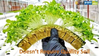 2. Advantages and disadvantages of each medium.pptx