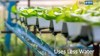 2. Advantages and disadvantages of each medium.pptx