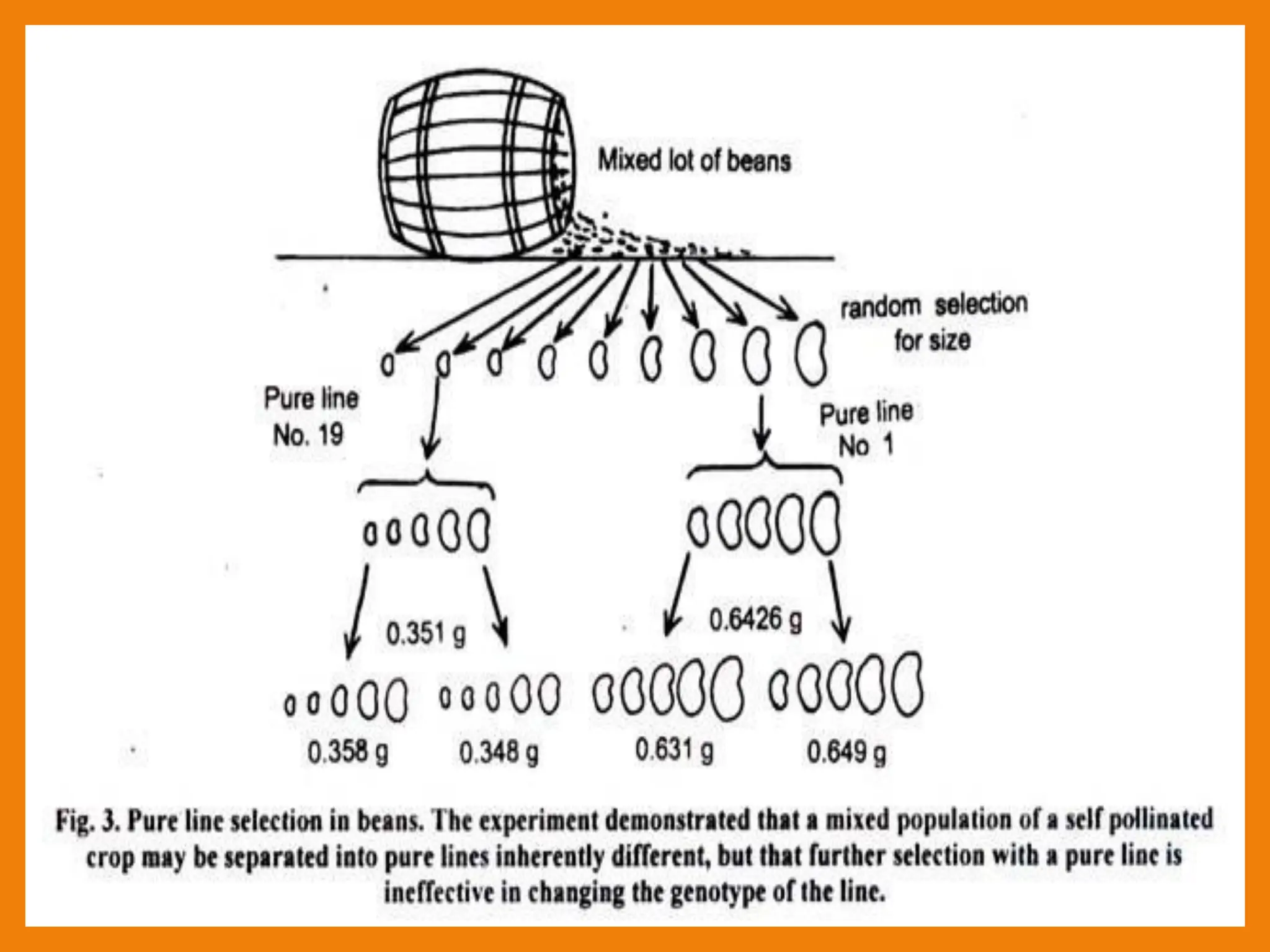 Breeding-methods of seed-crops ploointating | PDF | Agriculture ...