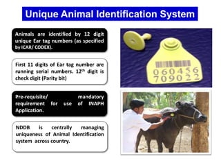 2. INAPH-Animal Breeding Module.pptxakdbeh | PPTX | Operating Systems ...