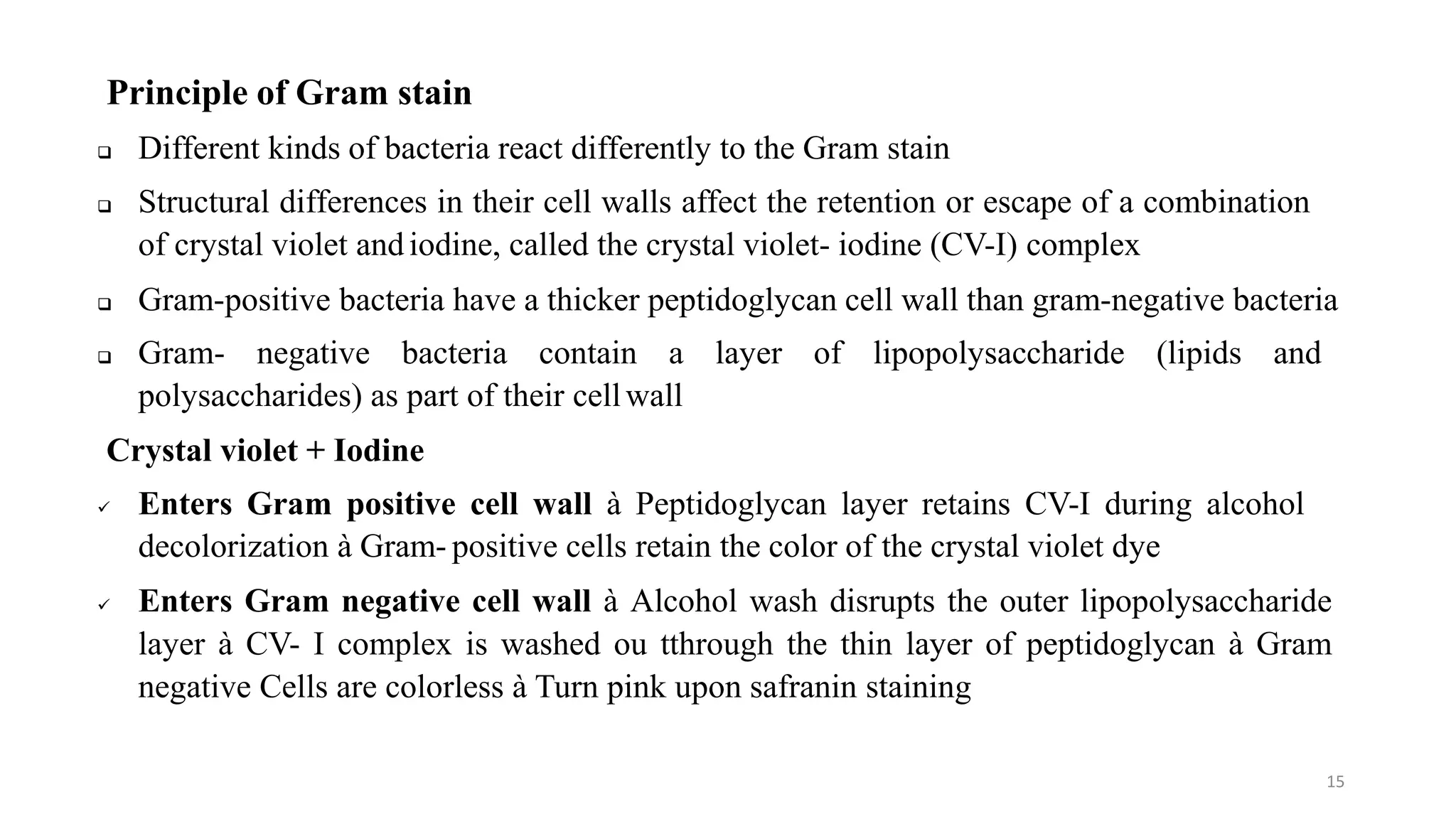 Identification of bacteria using staining techniques | PPTX