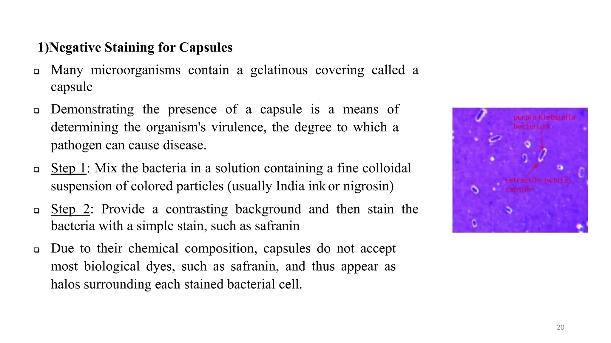 Identification of bacteria using staining techniques | PPTX | Chemistry ...