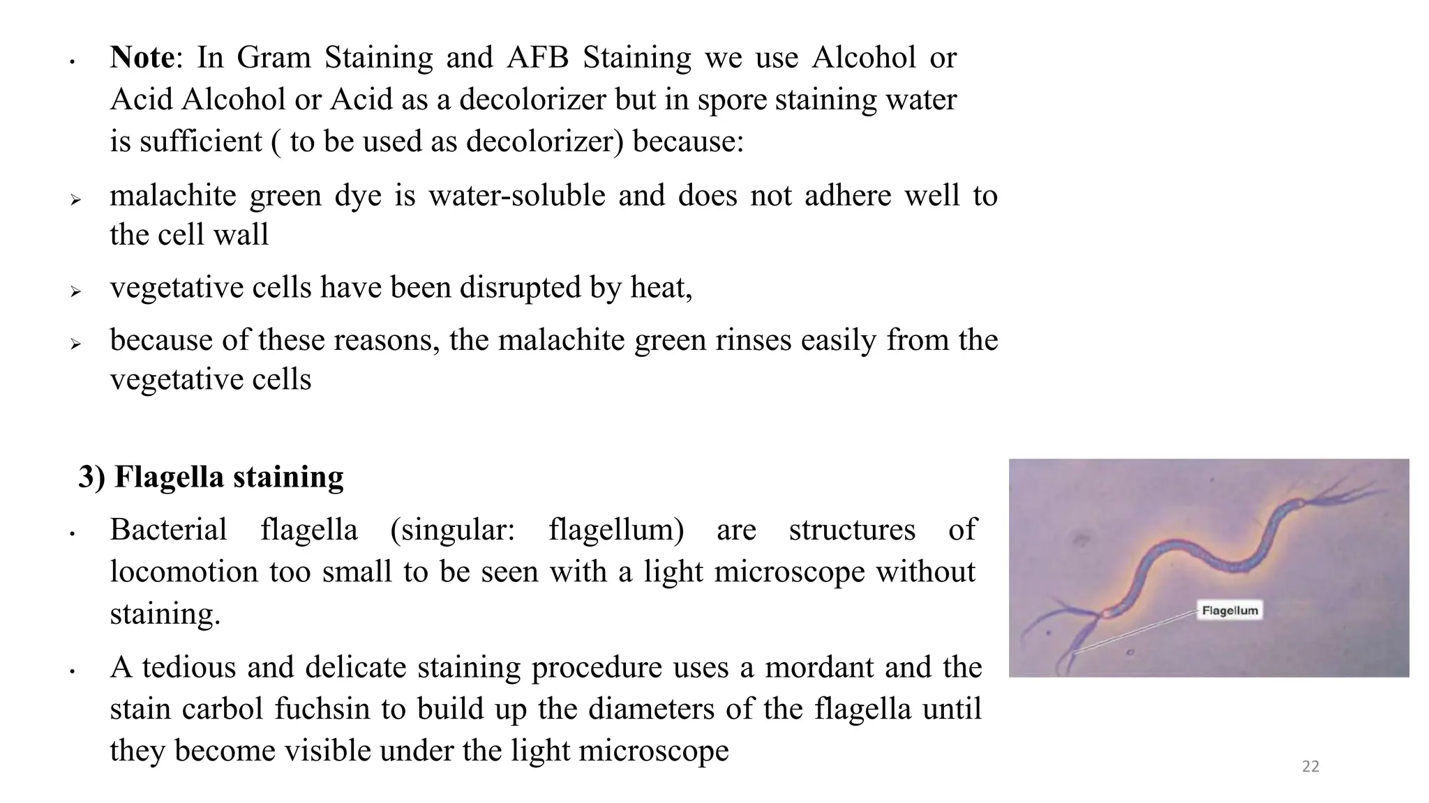 Identification of bacteria using staining techniques | PPTX