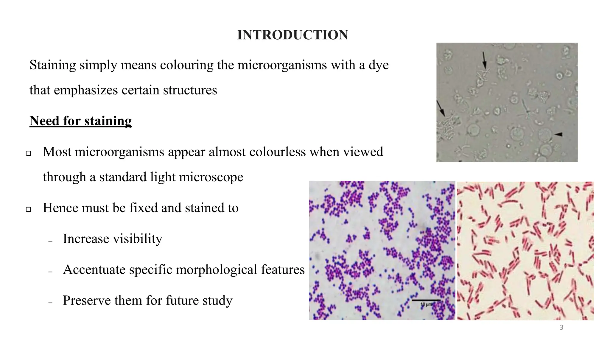 Identification of bacteria using staining techniques | PPTX | Chemistry ...