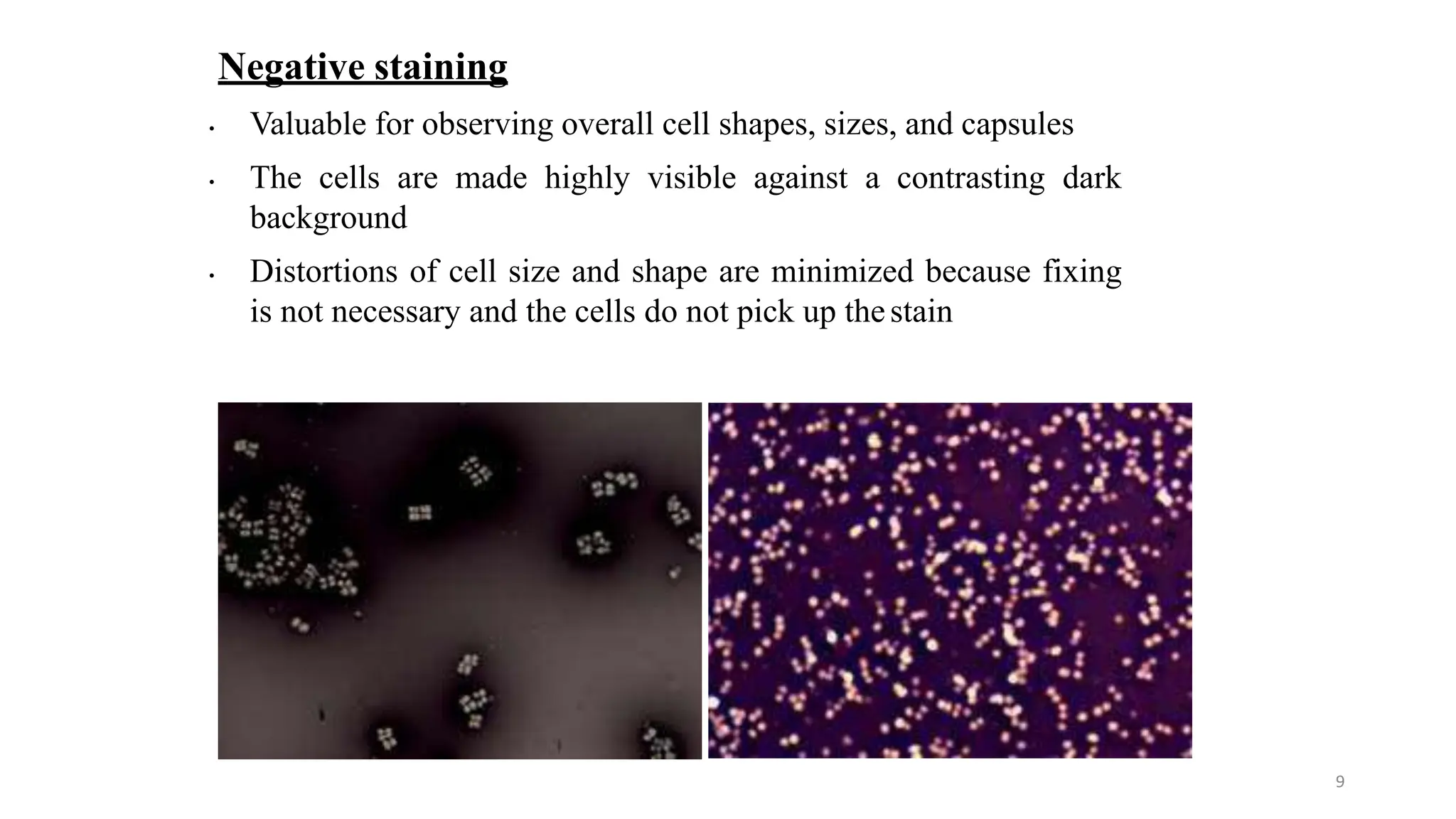 Identification of bacteria using staining techniques | PPTX | Chemistry ...