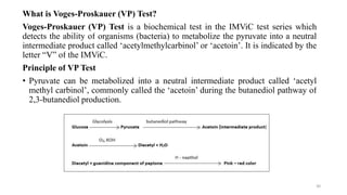 Identification of bacteria using staining techniques | PPTX