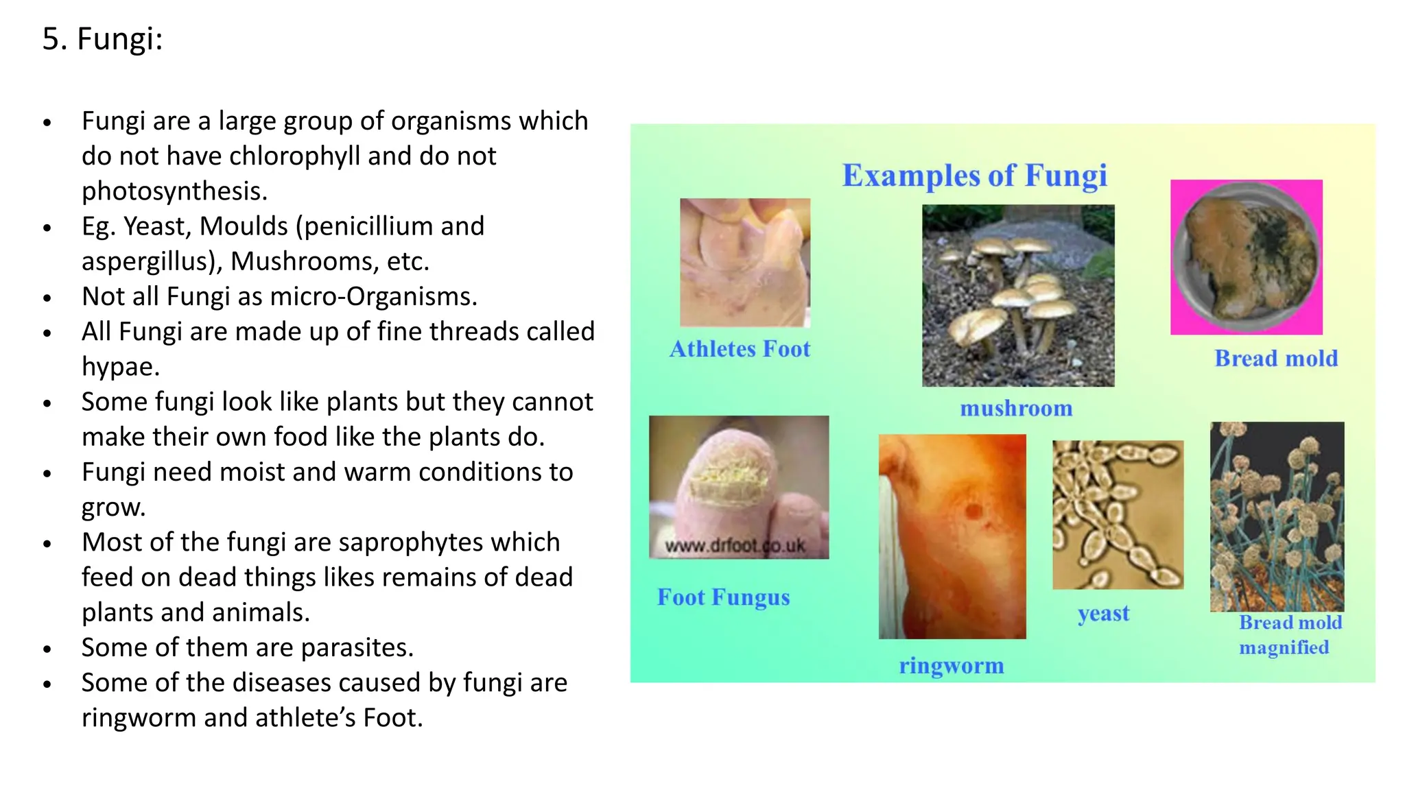 Microorganisms | Class-8 | CBSe | Science | PDF
