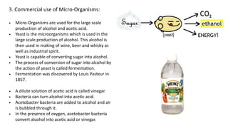 Microorganisms | Class-8 | CBSe | Science | PDF