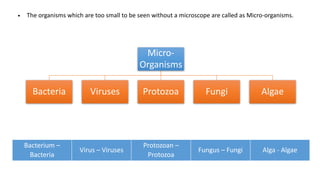Microorganisms | Class-8 | CBSe | Science | PDF
