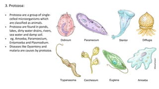 Microorganisms | Class-8 | CBSe | Science | PDF