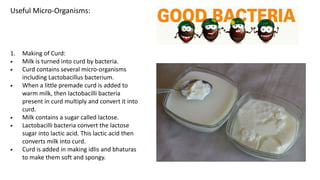 Microorganisms | Class-8 | CBSe | Science | PDF