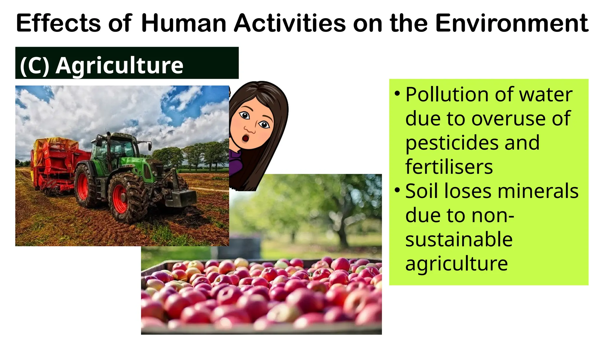 2.4 Role of Humans in Maintaining a Balanced Nature.pptx