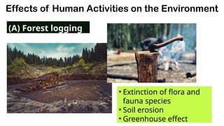 2.4 Role of Humans in Maintaining a Balanced Nature.pptx