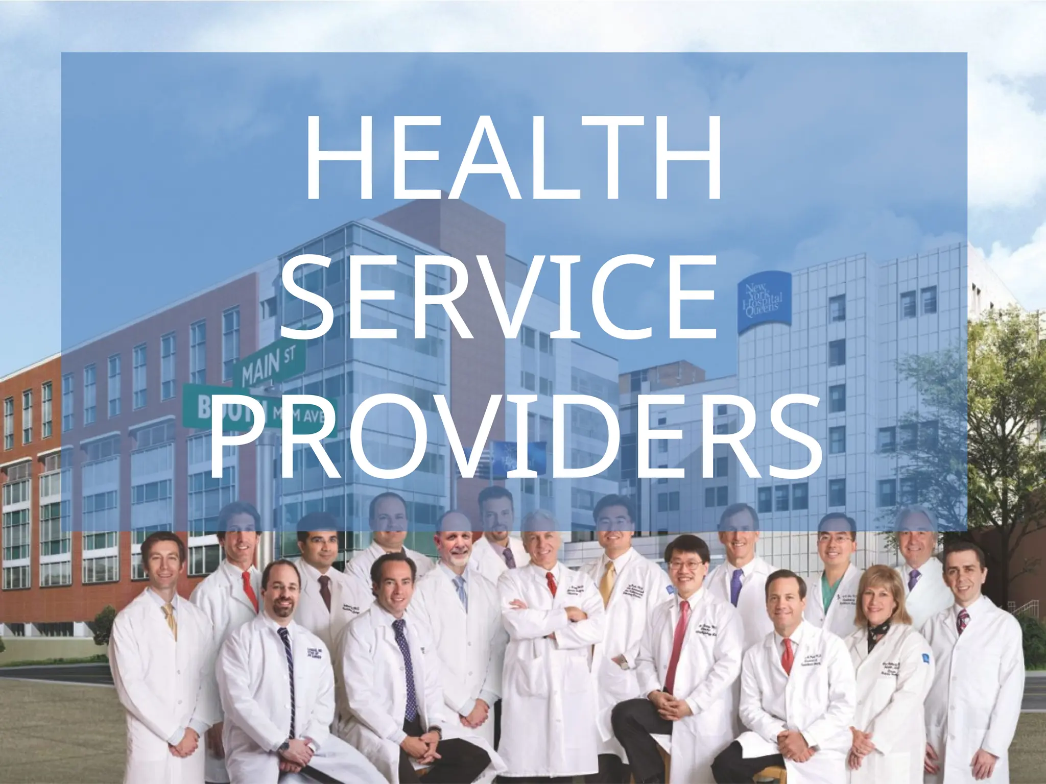 Health-Services-Providers grade 10 health | PPTX