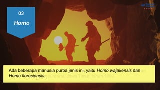 Asal-Usul Nenek Moyang Bangsa Indonesia dan Jalur Rempah pada Masa ...