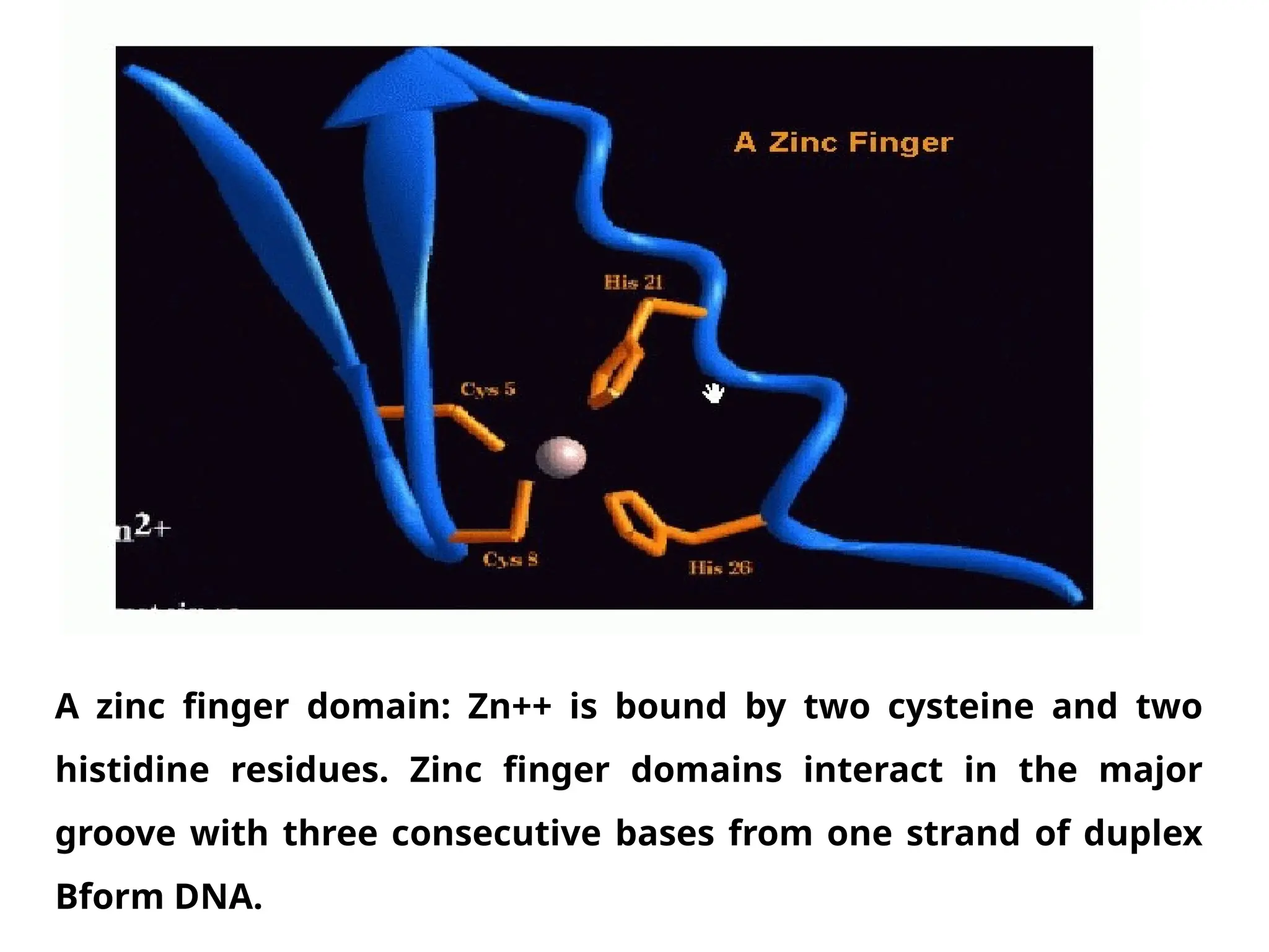 2. Post translational modifications.pptx