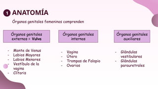 SISTEMA REPRODUCTOR FEMENINO SALUD MUJER | PPTX
