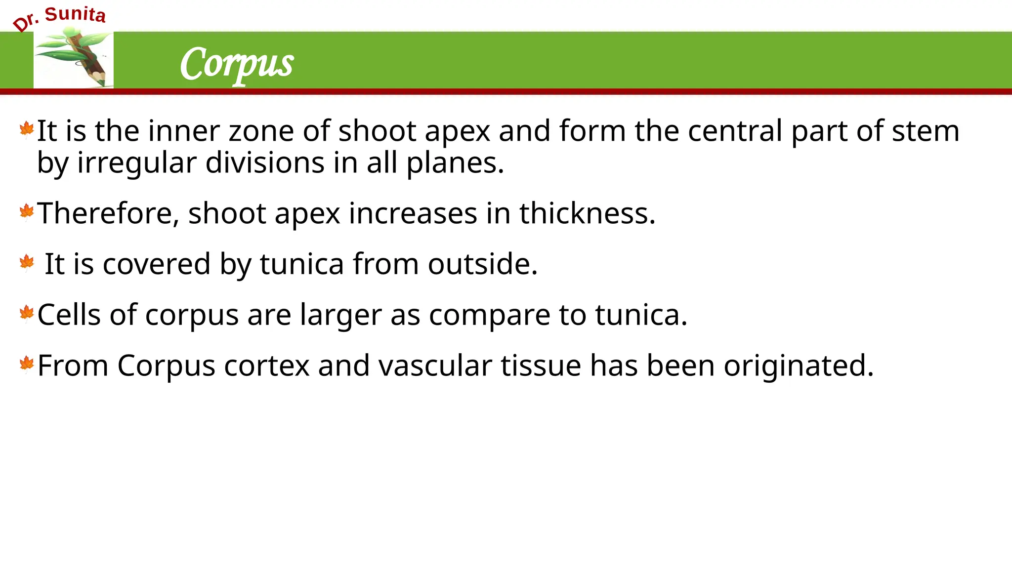 2. Shoot Apical Meristem and theories of shoot apical meristem | PPTX