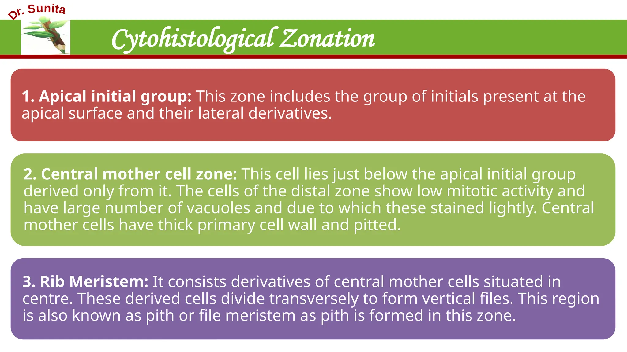 2. Shoot Apical Meristem and theories of shoot apical meristem | PPTX