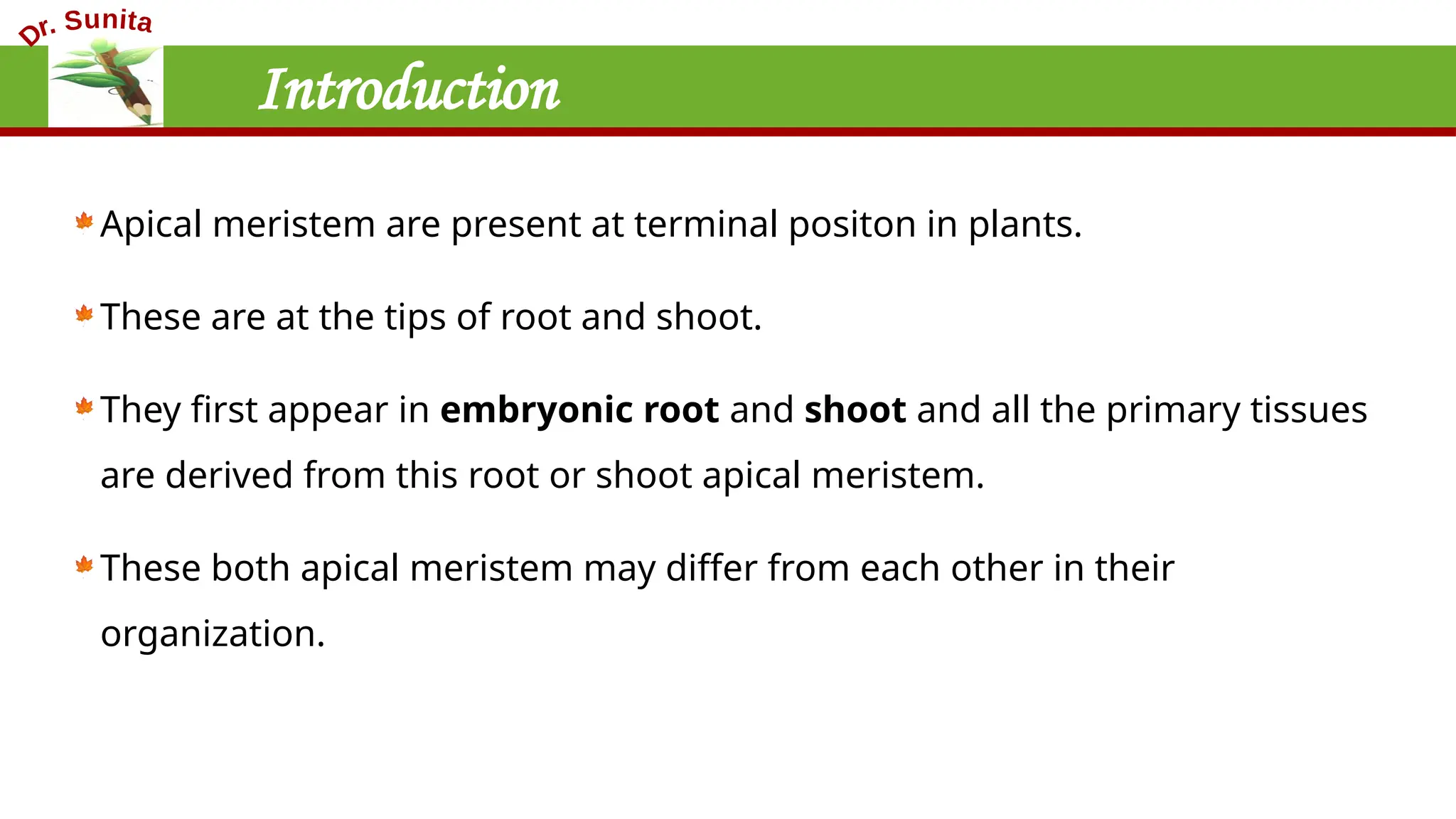 2. Shoot Apical Meristem and theories of shoot apical meristem | PPTX