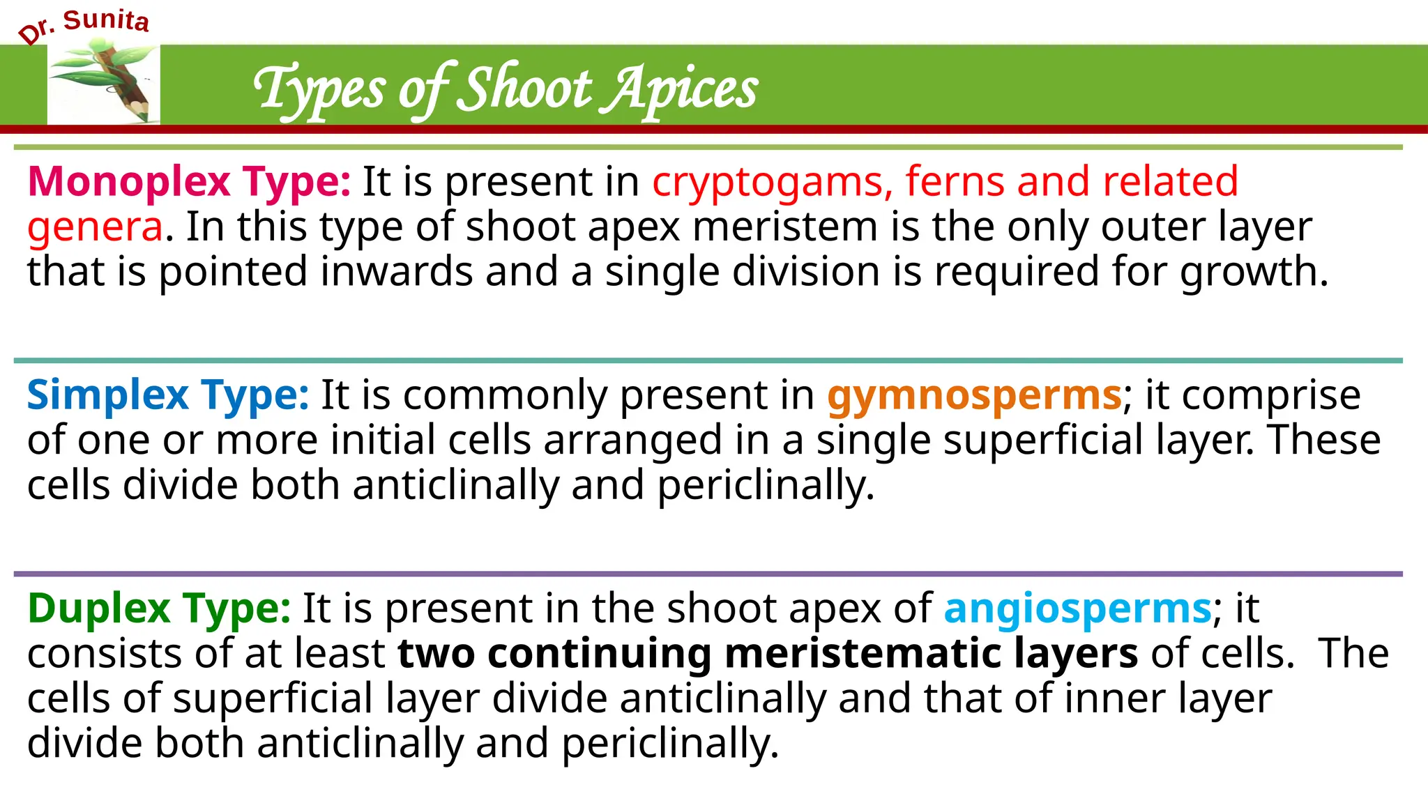 2. Shoot Apical Meristem and theories of shoot apical meristem | PPTX