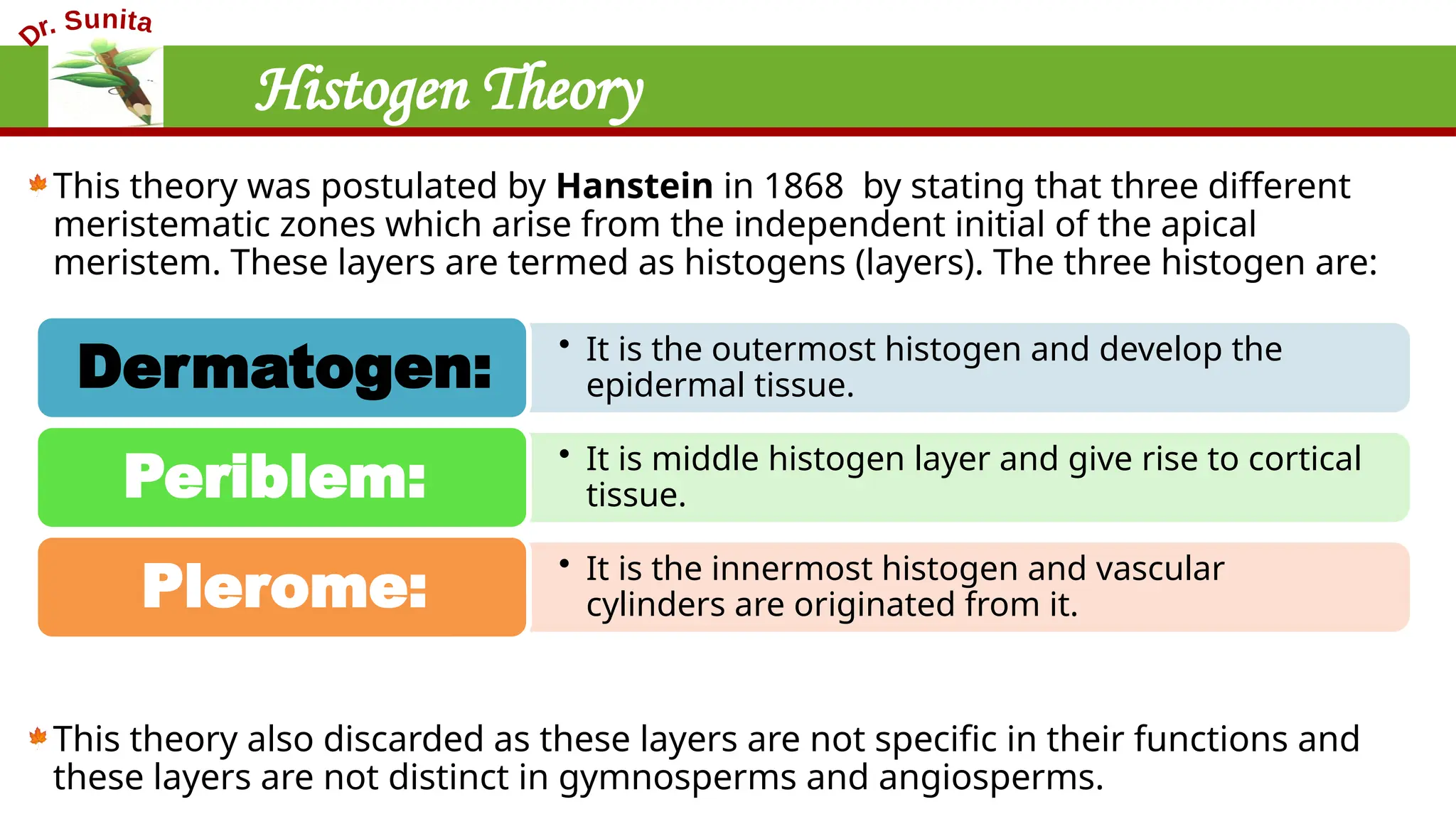 2. Shoot Apical Meristem and theories of shoot apical meristem | PPTX