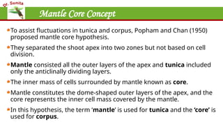 2. Shoot Apical Meristem and theories of shoot apical meristem | PPTX