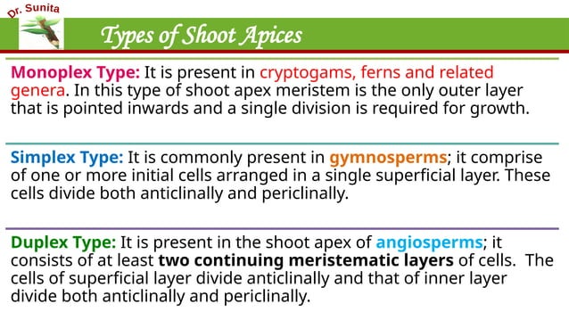 2. Shoot Apical Meristem and theories of shoot apical meristem | PPTX ...