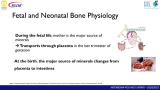 2.Bone Mineral Disease in Newborn Infants.pdf
