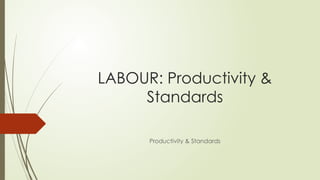 2.5 Labour Productivity standards in construction | PPTX
