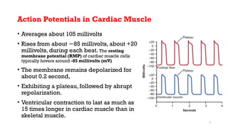 2. Electrophysiology of the heart teacher.pptx