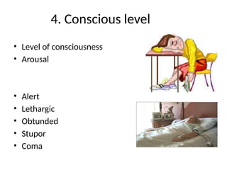 2. Neuorlogical assessment -_073811.pptx | Brain and Nervous System ...