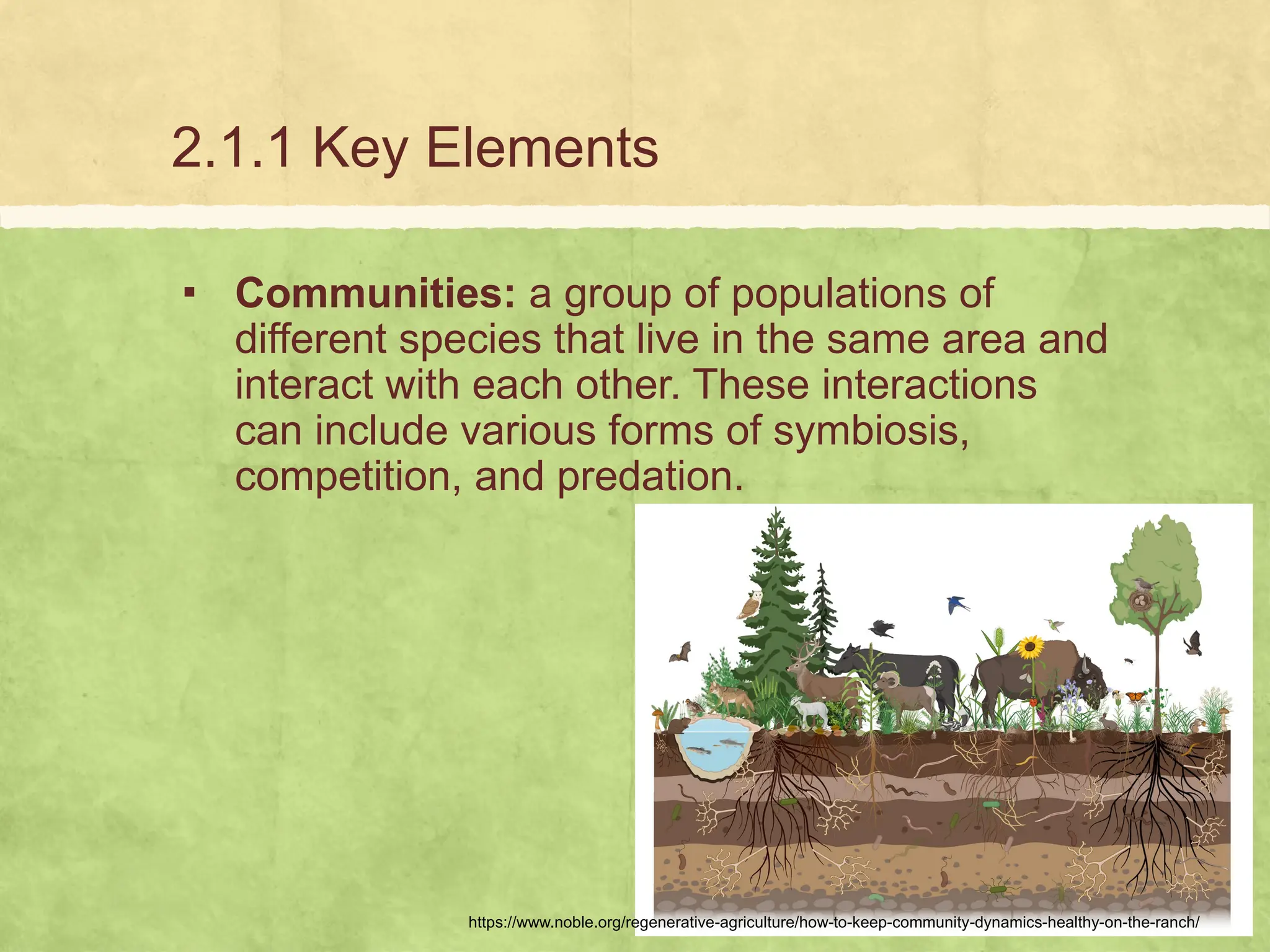 _2.1_individuals_populations_communities_and_ecosystems.pptx