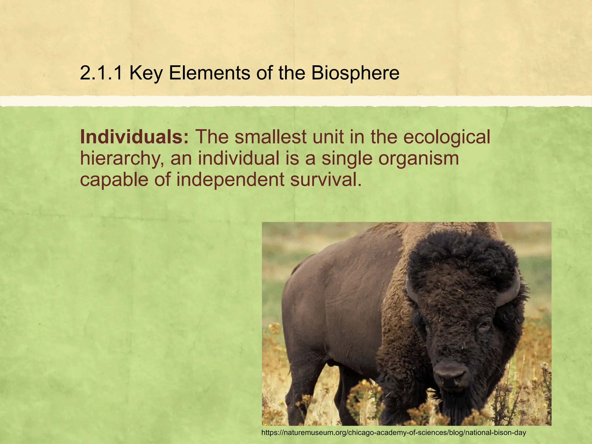 _2.1_individuals_populations_communities_and_ecosystems.pptx