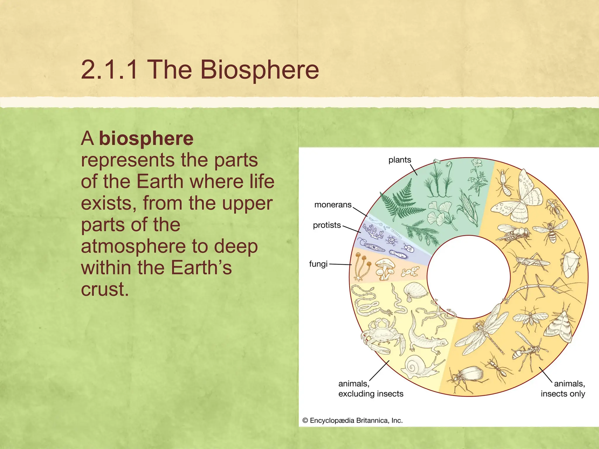 _2.1_individuals_populations_communities_and_ecosystems.pptx
