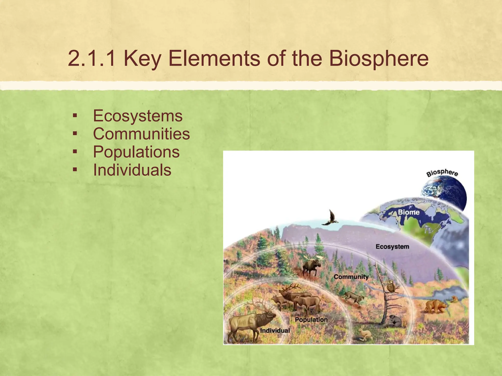 _2.1_individuals_populations_communities_and_ecosystems.pptx